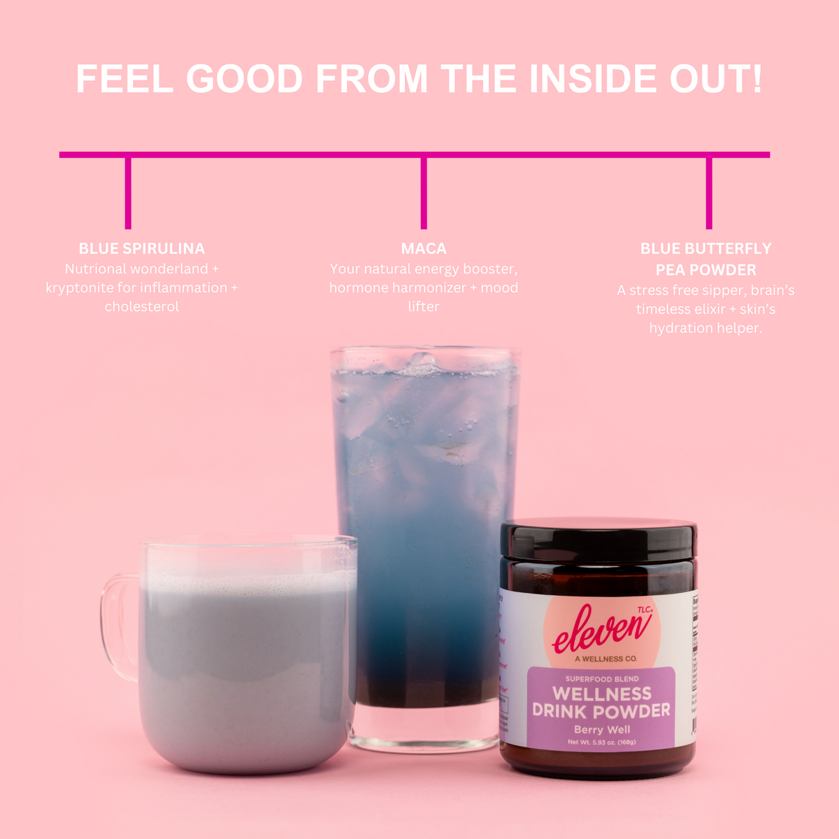 Berry Well (500 G)| Blue Spirulina Superfood Drink Mix Powder | 62 Ser ...